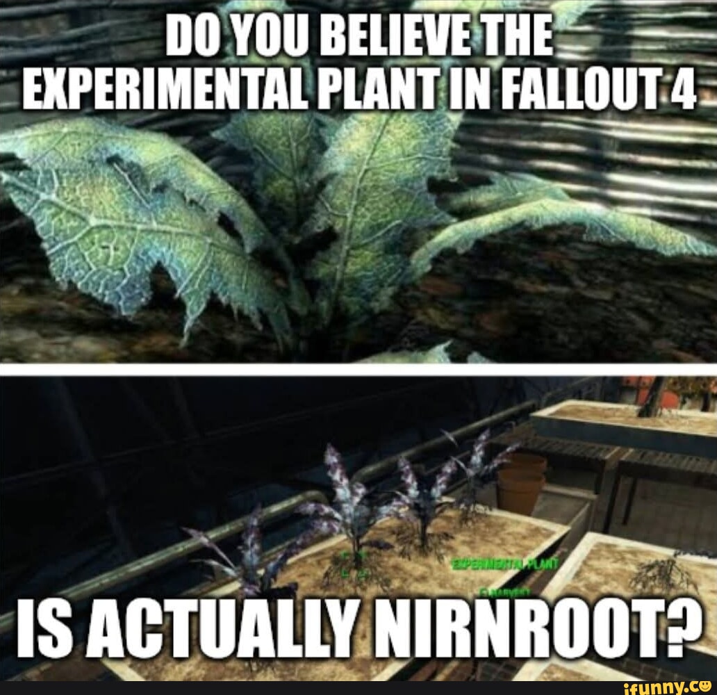 Nirnroot memes. Best Collection of funny Nirnroot pictures on iFunny