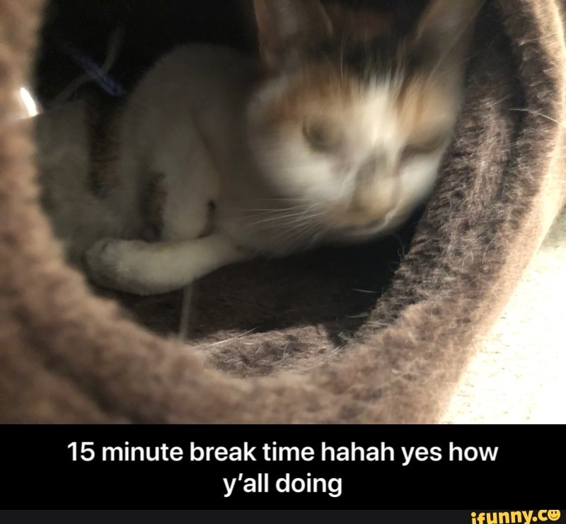15 minute break time hahah yes how y'all doing - 15 minute break time ...