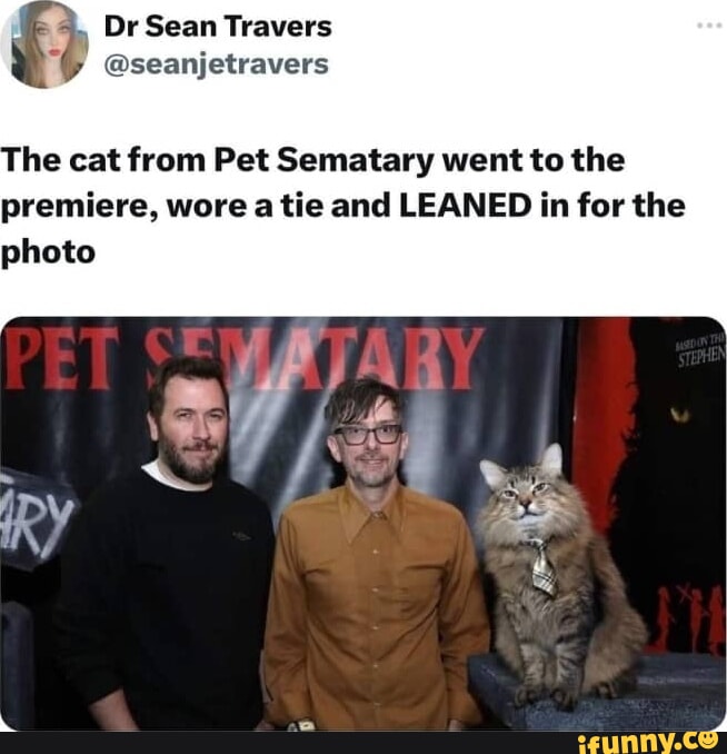 Dr Sean Travers @seanjetravers The cat from Pet Sematary went to the ...