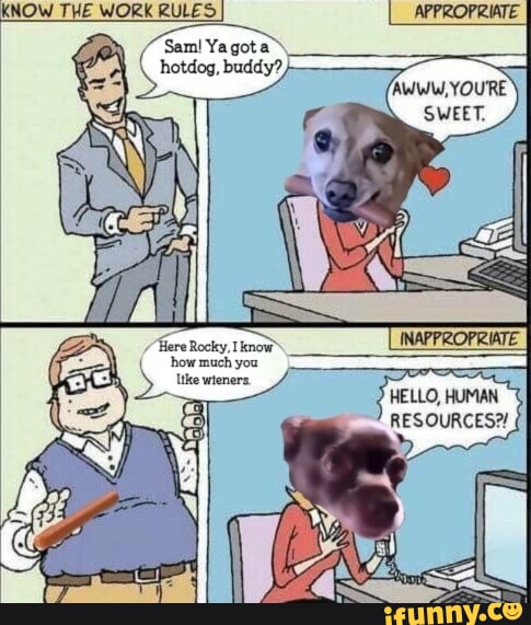 KNOW THE WORK RULES Sam! Ya hotdog, buddy? HELLO, HUMAN RESOURCES ...