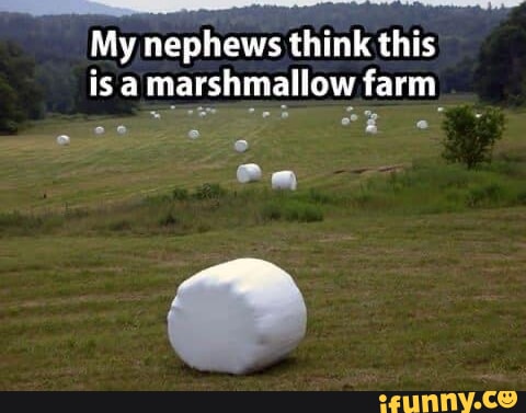 What Happens When You Do the Frog Pose Regularly The frog pose opens ...