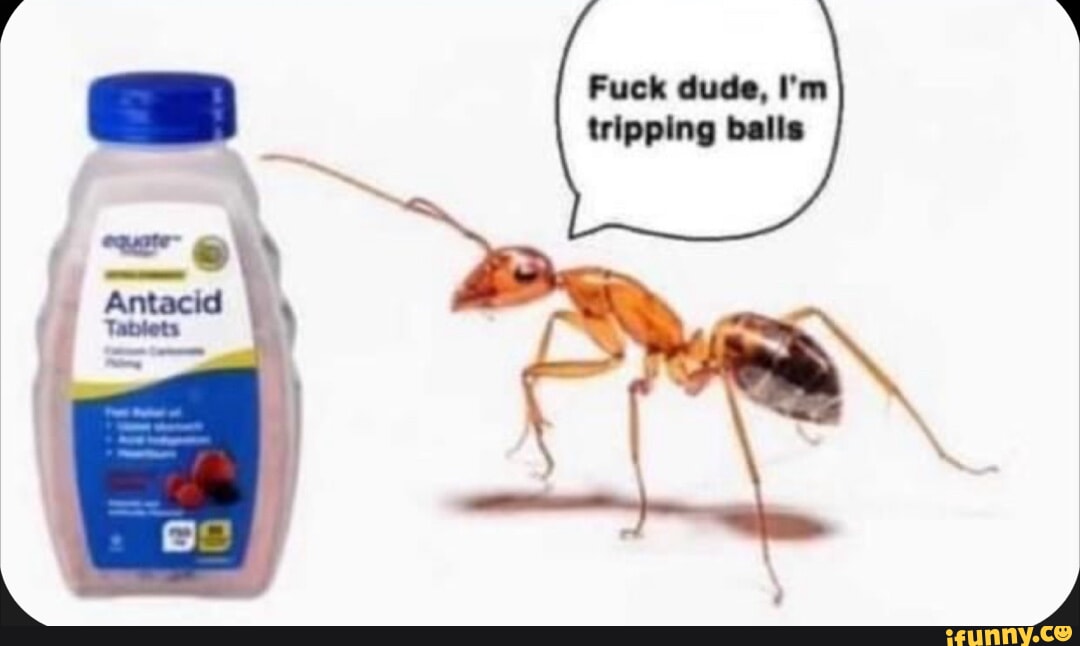 Tripping memes. Best Collection of funny Tripping pictures on iFunny