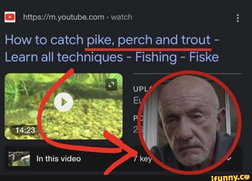 Fiske memes. Best Collection of funny Fiske pictures on iFunny