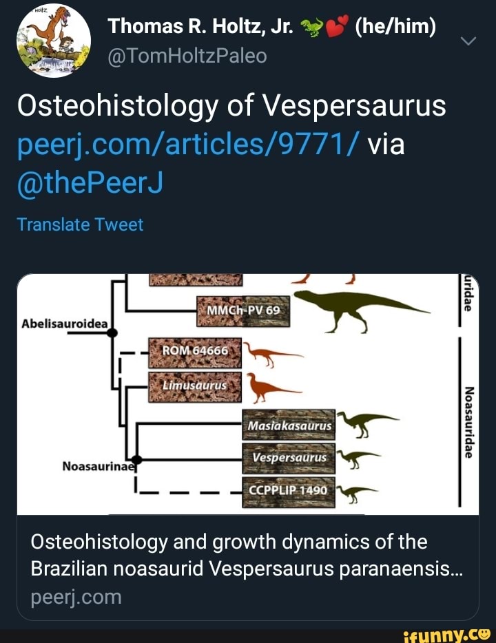 Thomas R. Holtz, Jr. Osteohistology of Vespersaurus via @thePeerJ ...