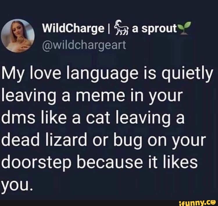 My love language is quietly leaving a meme in your dms like a cat ...