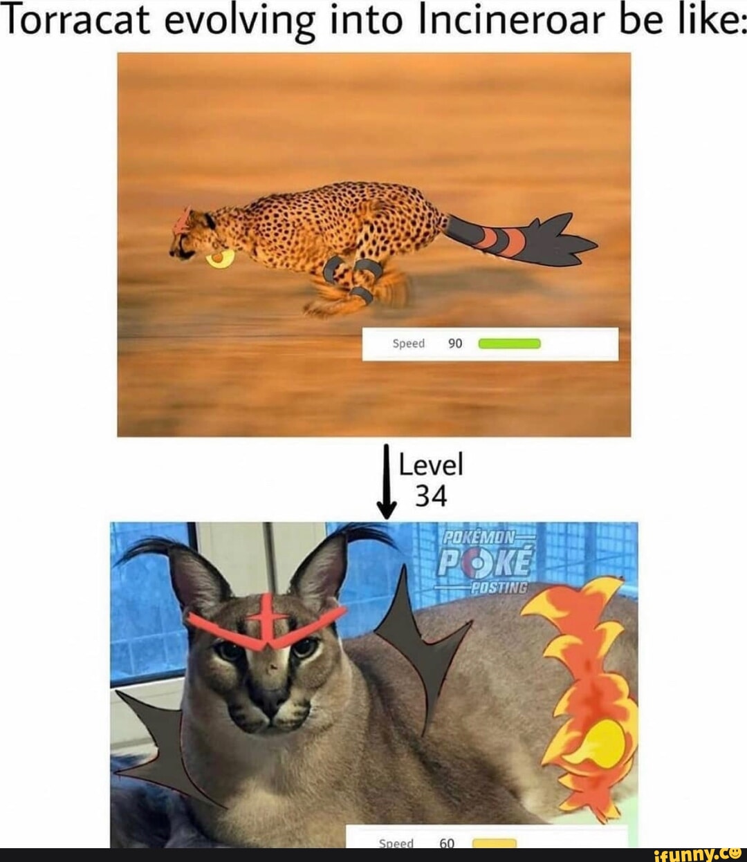 Incineroar memes. Best Collection of funny Incineroar pictures on iFunny