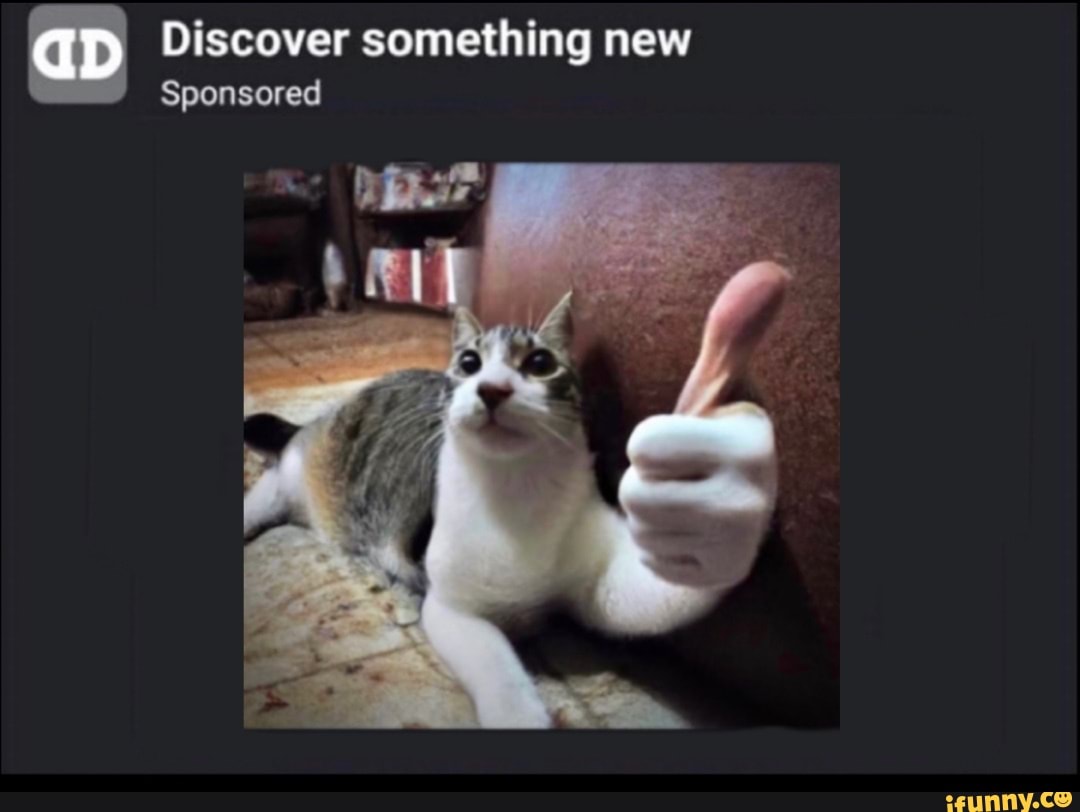 Discoversomethingnew memes. Best Collection of funny ...