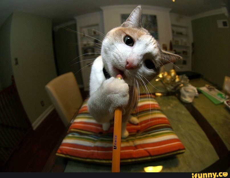 High_definition memes. Best Collection of funny High_definition ...