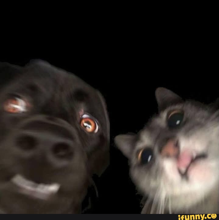Concerned memes. Best Collection of funny Concerned pictures on iFunny