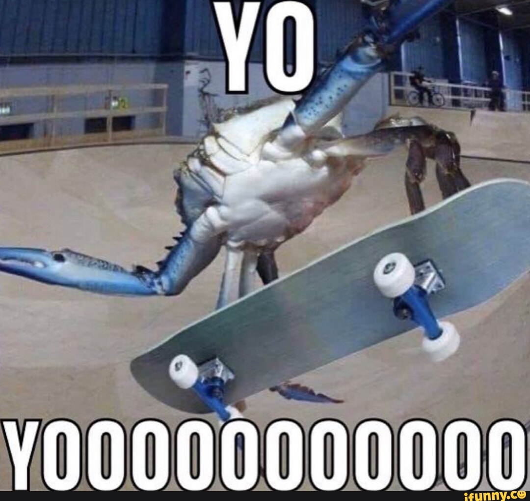 Skateboarding memes. Best Collection of funny Skateboarding pictures on ...