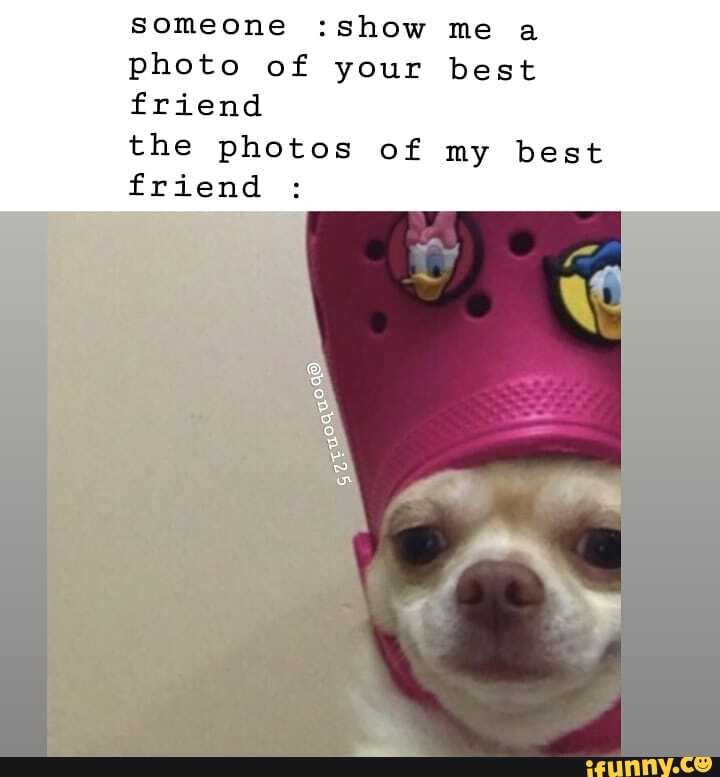 Someone :show me a Photo of your best friend the photos of my best ...