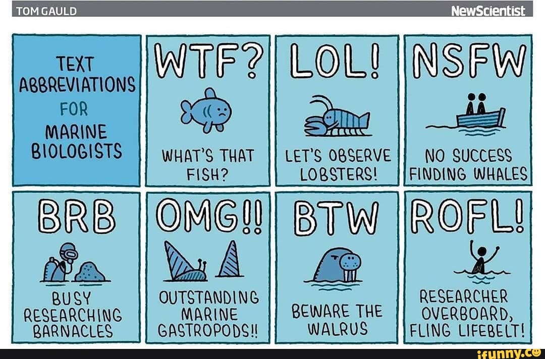 TOM GAULD NO SUCCESS FINDING WHALES MARINE BIOLOGISTS LET'S LOGSTERS ...
