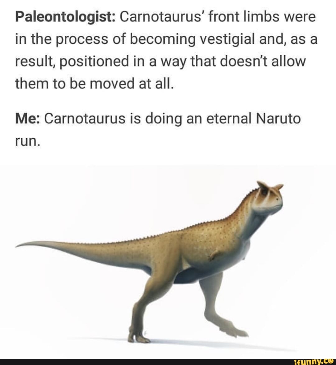 Paleontologist: Carnotaurus' front limbs were in the process of ...