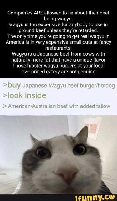 Wagyu memes. Best Collection of funny Wagyu pictures on iFunny