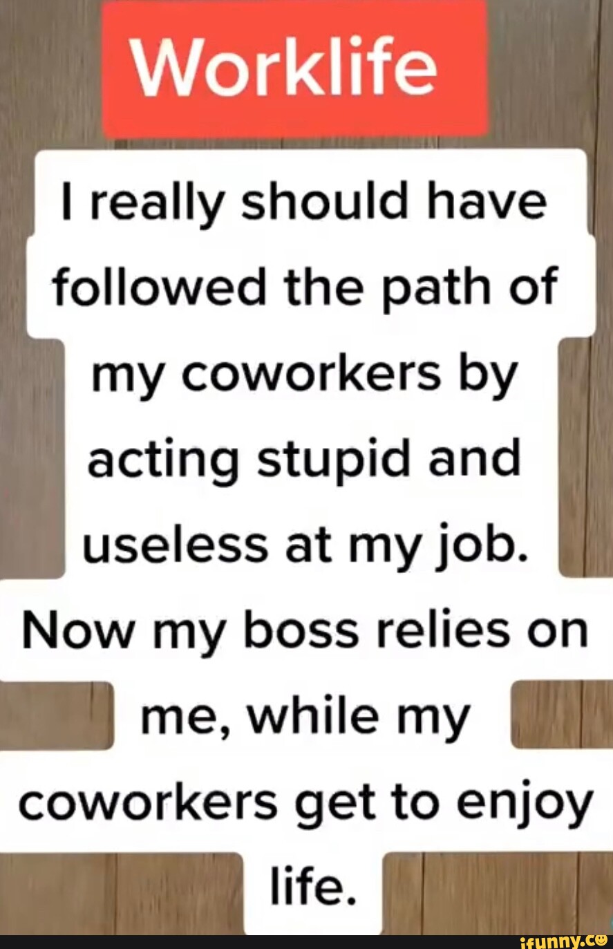 When you lie on your resume but somehow still get the job - iFunny