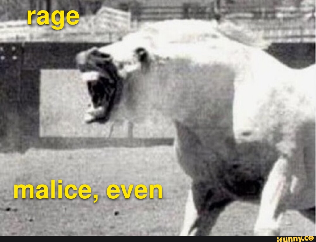 Honse memes. Best Collection of funny Honse pictures on iFunny