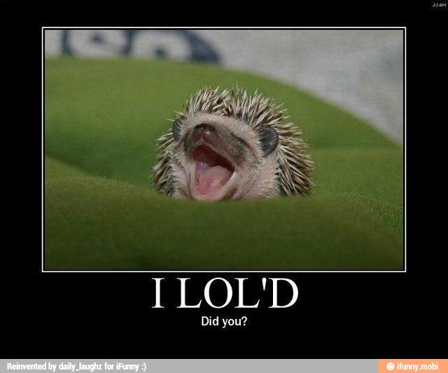 Djdjf memes. Best Collection of funny Djdjf pictures on iFunny