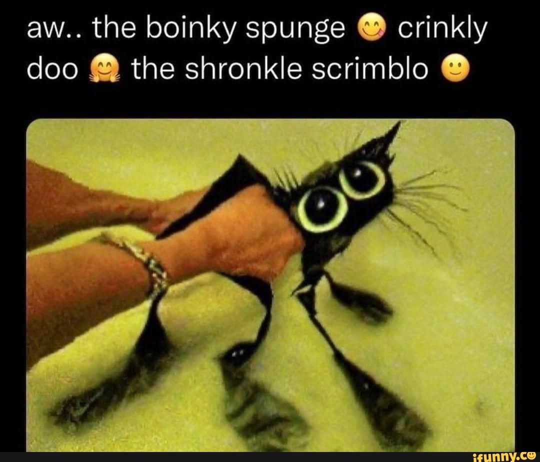 Aw.. the boinky spunge crinkly doo the shronkle scrimblo - iFunny