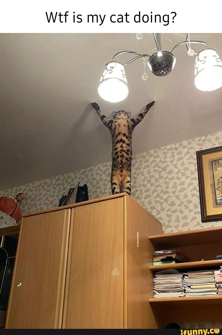 Summoning memes. Best Collection of funny Summoning pictures on iFunny