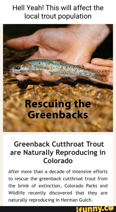 Hell Yeah! This will affect the local trout population backs D ...