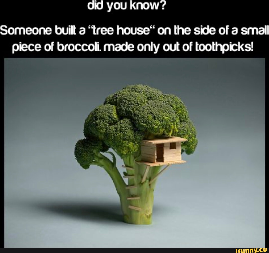 Toothpicks memes. Best Collection of funny Toothpicks pictures on iFunny