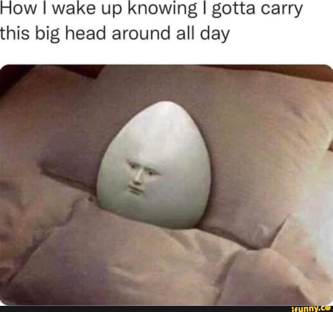 He’s the Eggman - How I wake up knowing I gotta carry his big head ...