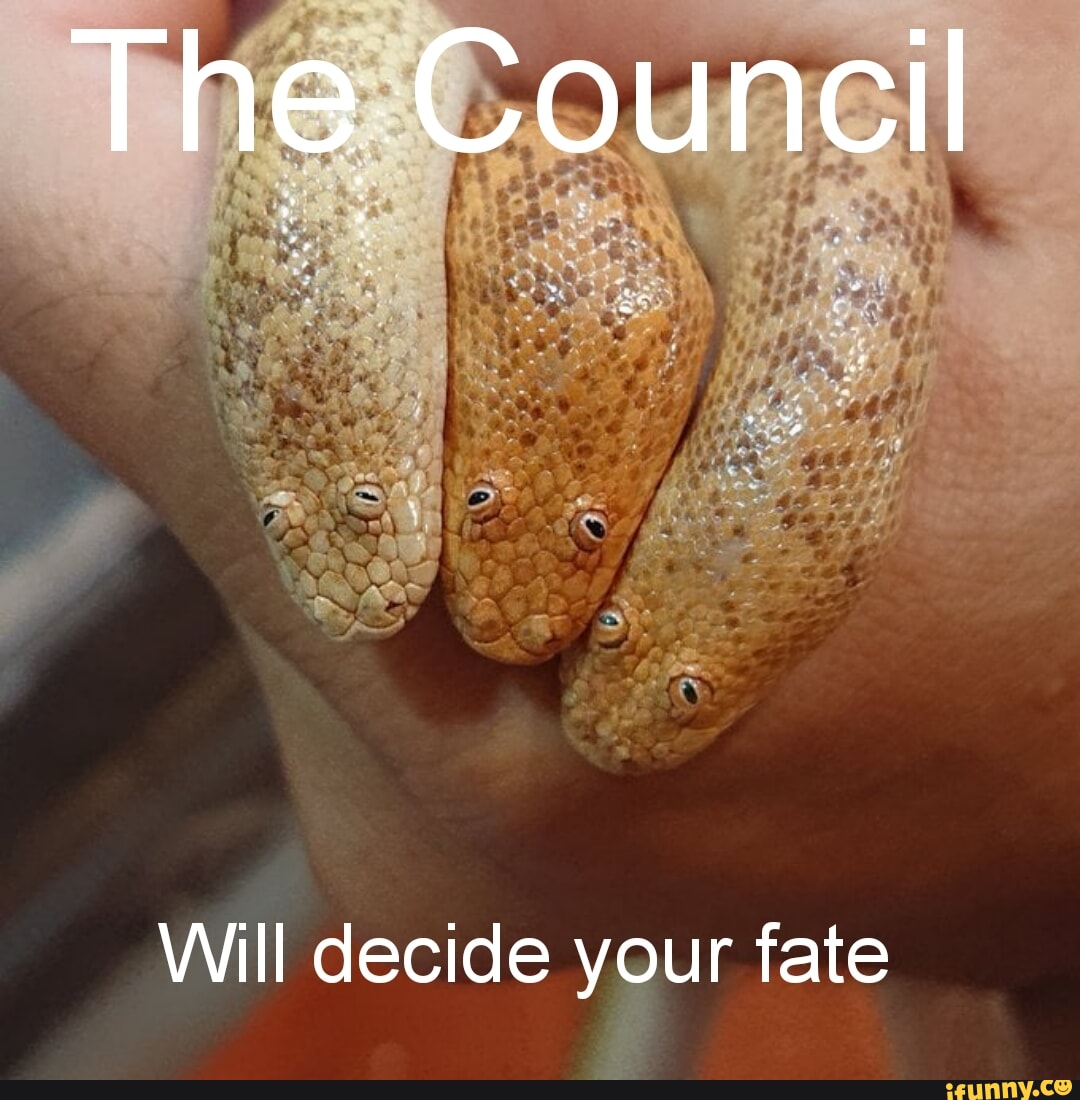 Fate memes. Best Collection of funny Fate pictures on iFunny