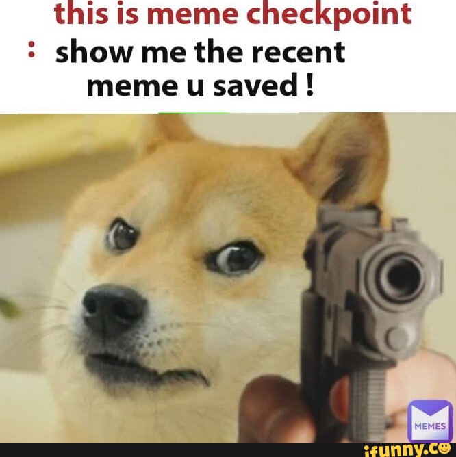 This is meme checkpoint show me the recent meme u saved ! - iFunny