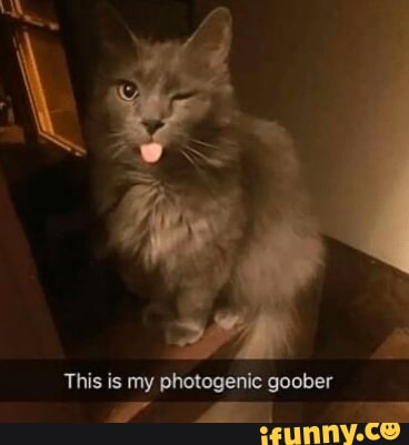 Photogenic memes. Best Collection of funny Photogenic pictures on iFunny