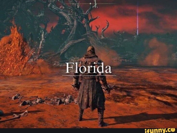 Caelid memes. Best Collection of funny Caelid pictures on iFunny