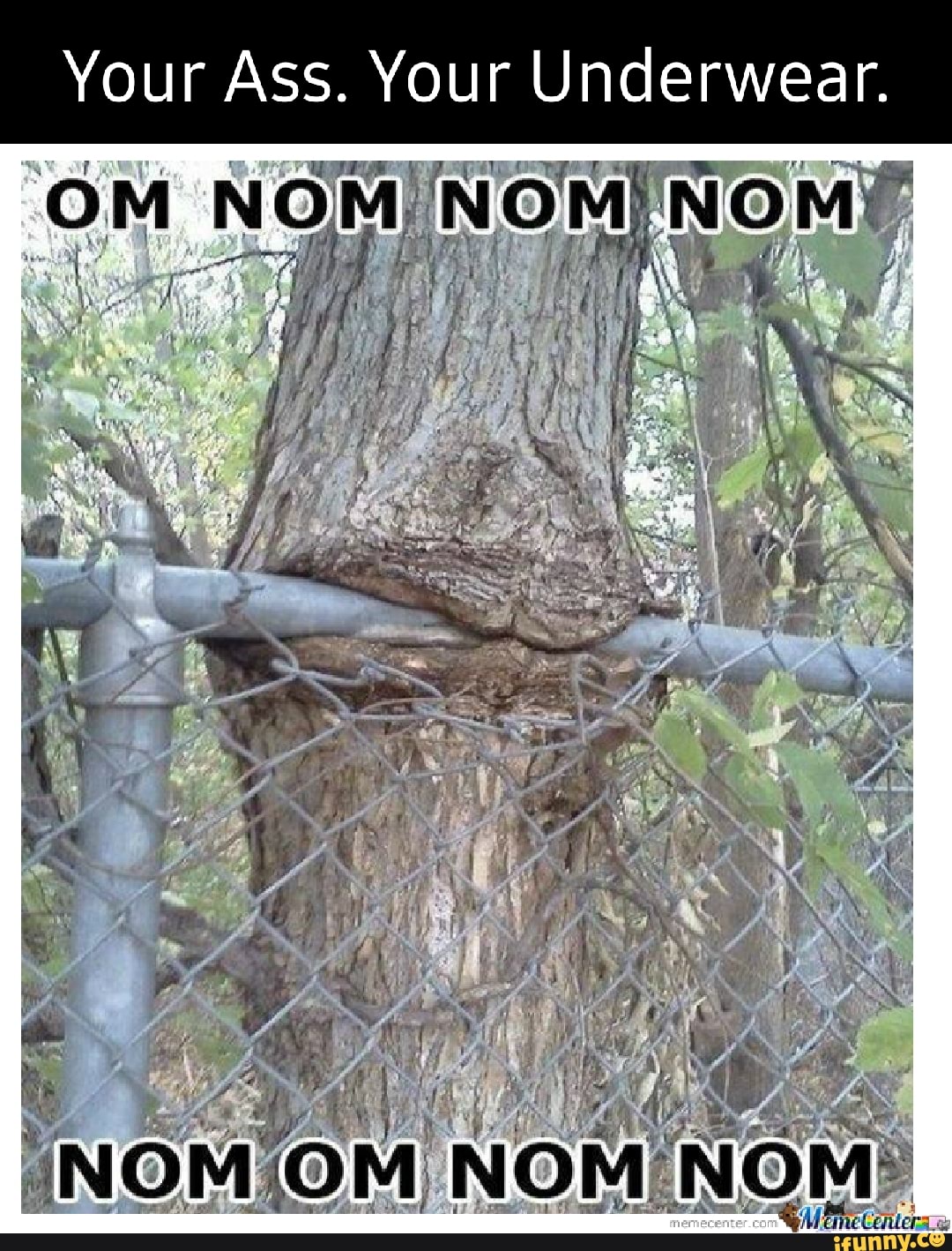 Nomom memes. Best Collection of funny Nomom pictures on iFunny