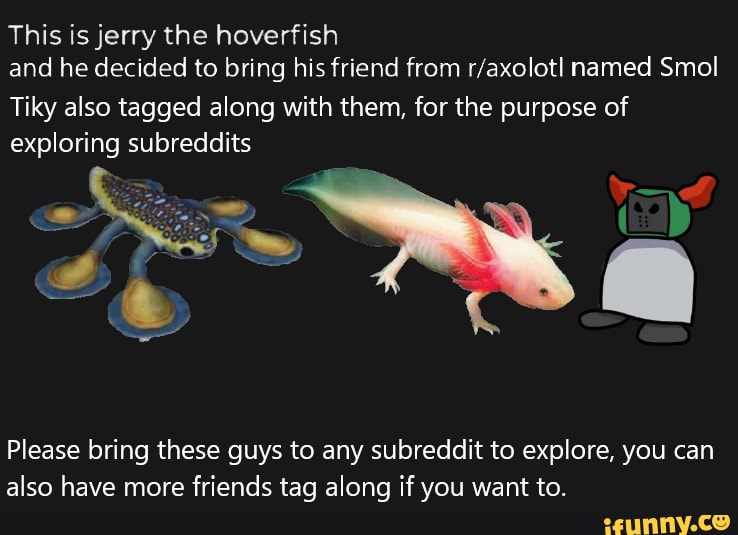 Tiky memes. Best Collection of funny Tiky pictures on iFunny