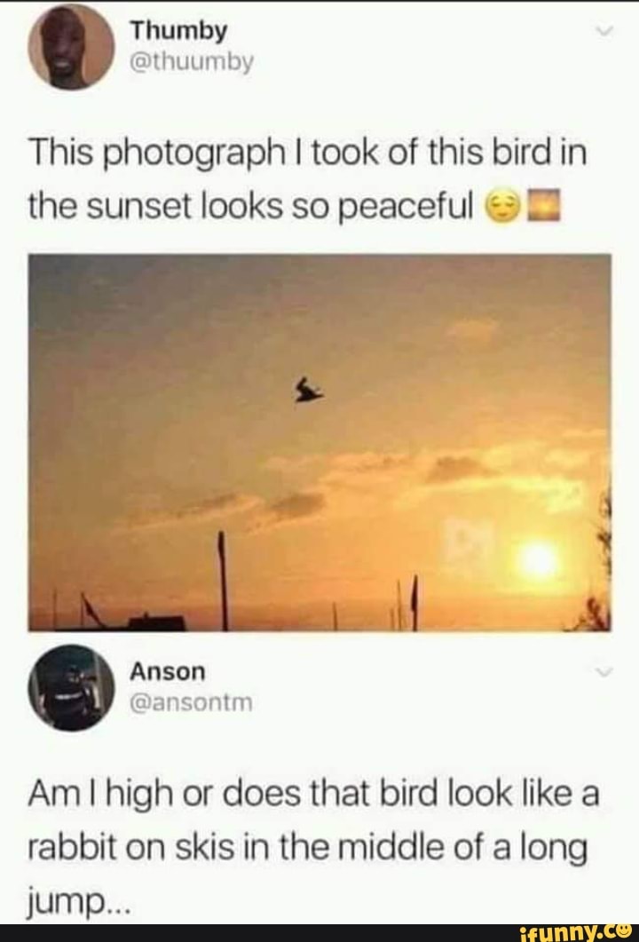 Thumby memes. Best Collection of funny Thumby pictures on iFunny