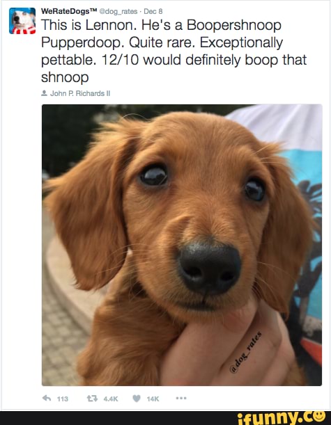 Pettable memes. Best Collection of funny Pettable pictures on iFunny