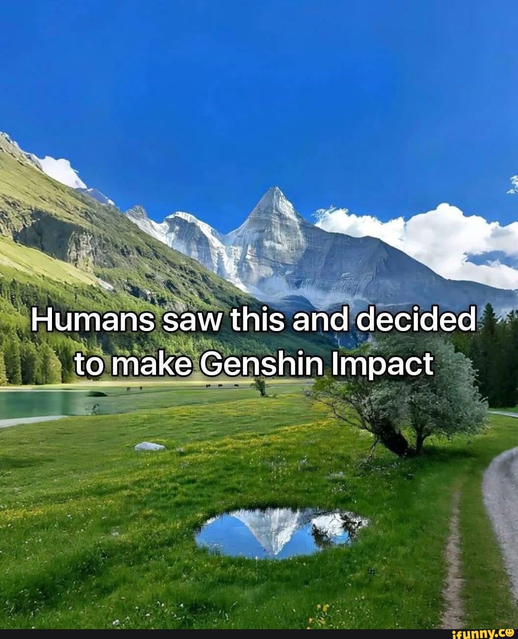 Humans saw this and decided to make Genshin Impact - iFunny