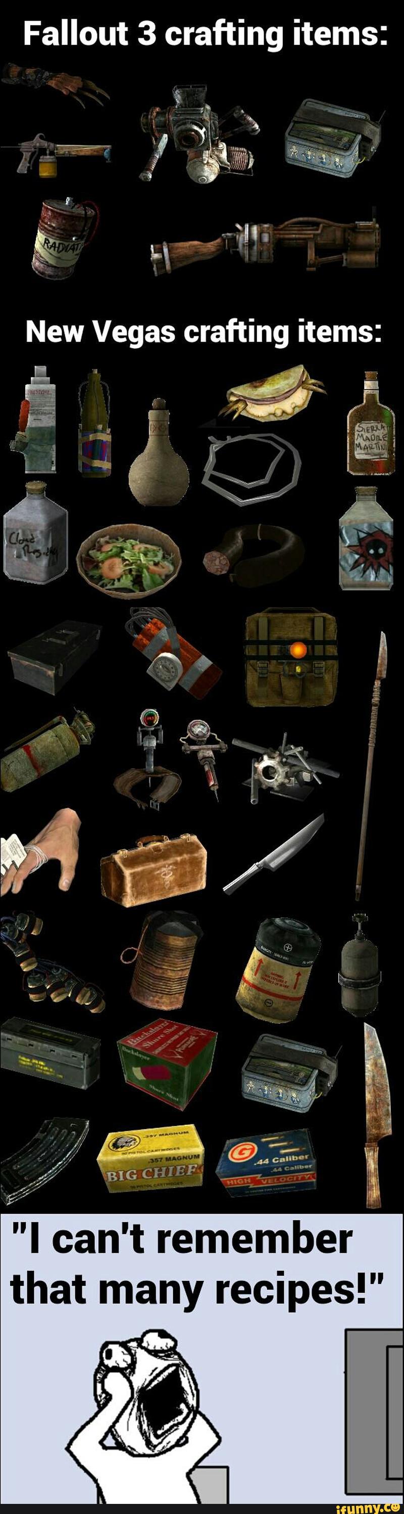 Fallout 3 food items - hospitaldon