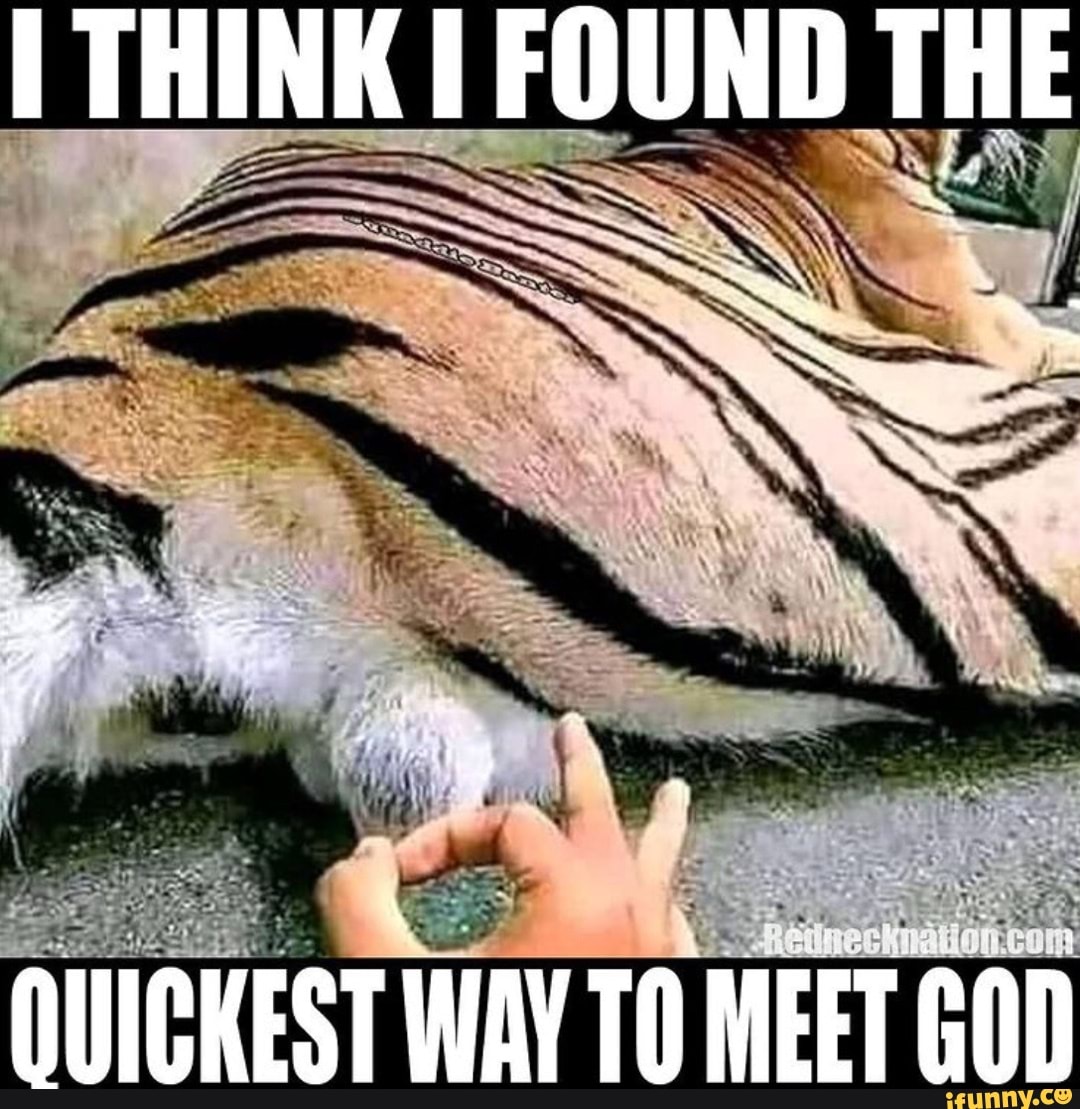 THINK FOUND THE QUICKEST WAY TO MEET GOD - iFunny