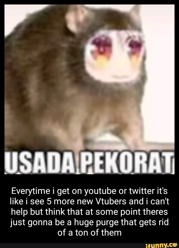 Pekorat memes. Best Collection of funny Pekorat pictures on iFunny