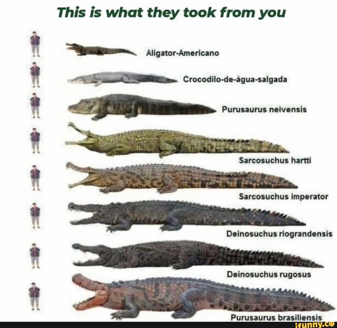 This is what they took from you Sarcosuchus hartti Sarcosuchus ...