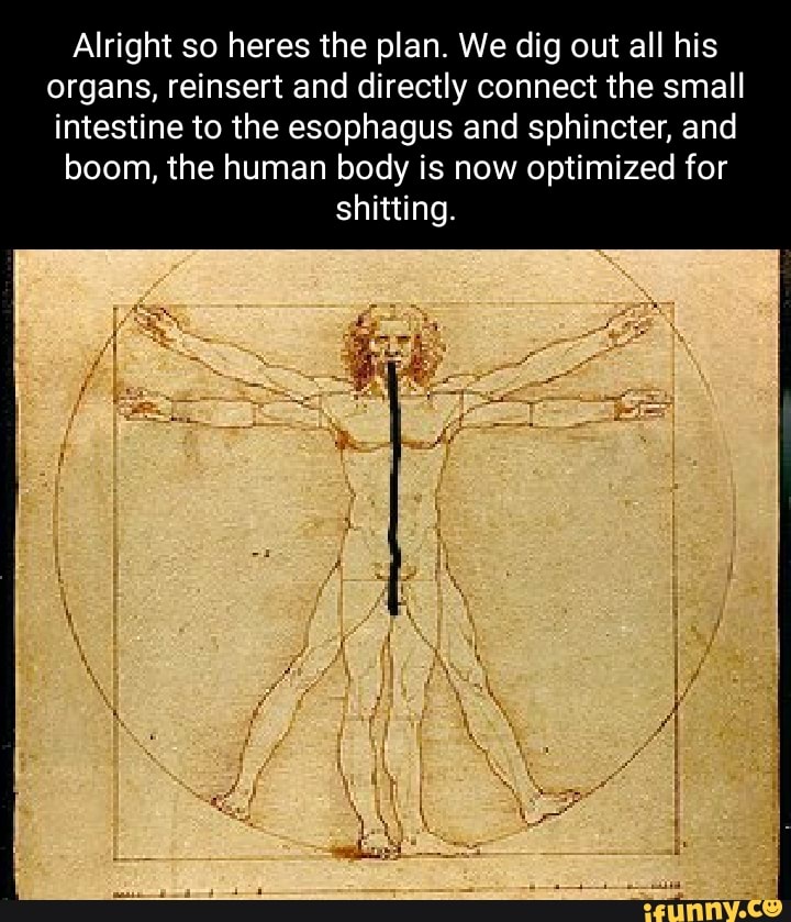 Reinsert memes. Best Collection of funny Reinsert pictures on iFunny