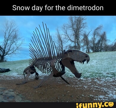 Dimetrodon memes. Best Collection of funny Dimetrodon pictures on iFunny