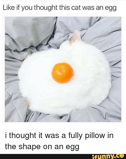 Cursedegg memes. Best Collection of funny Cursedegg pictures on iFunny