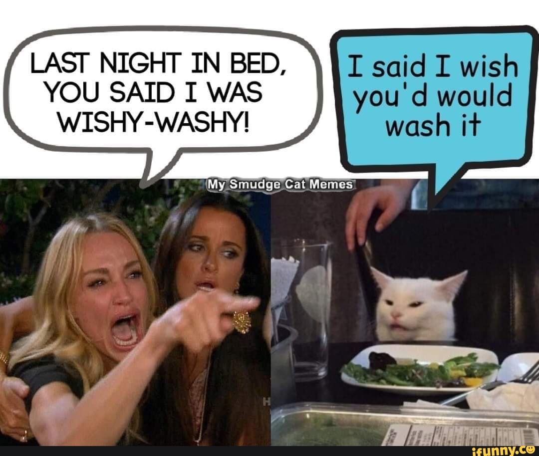 Wishy Washy Memes
