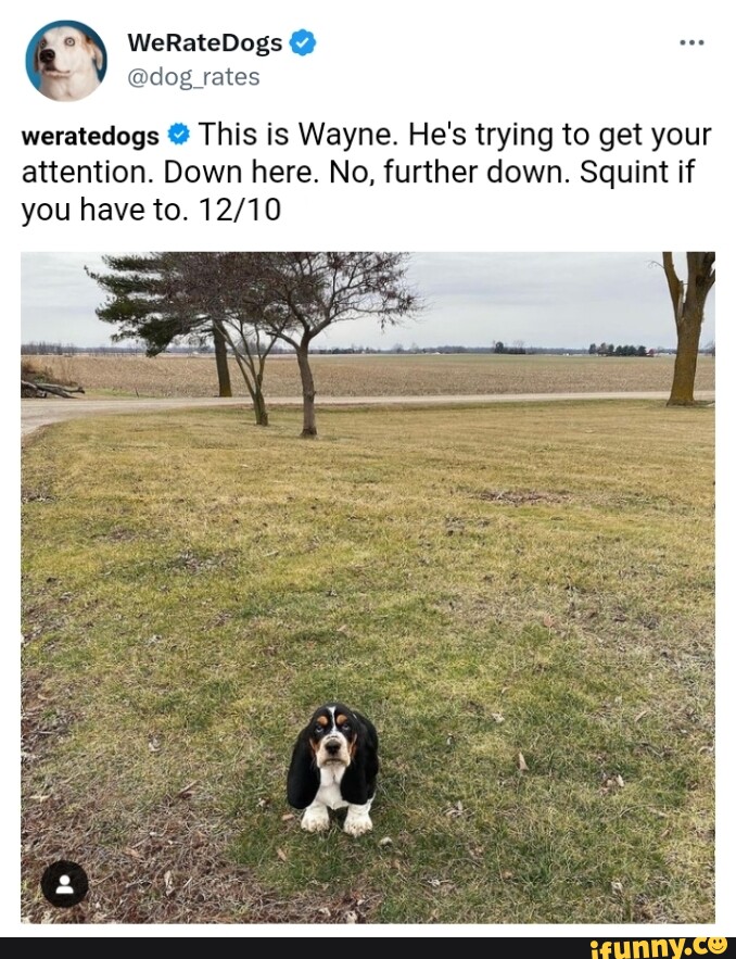 Squint memes. Best Collection of funny Squint pictures on iFunny