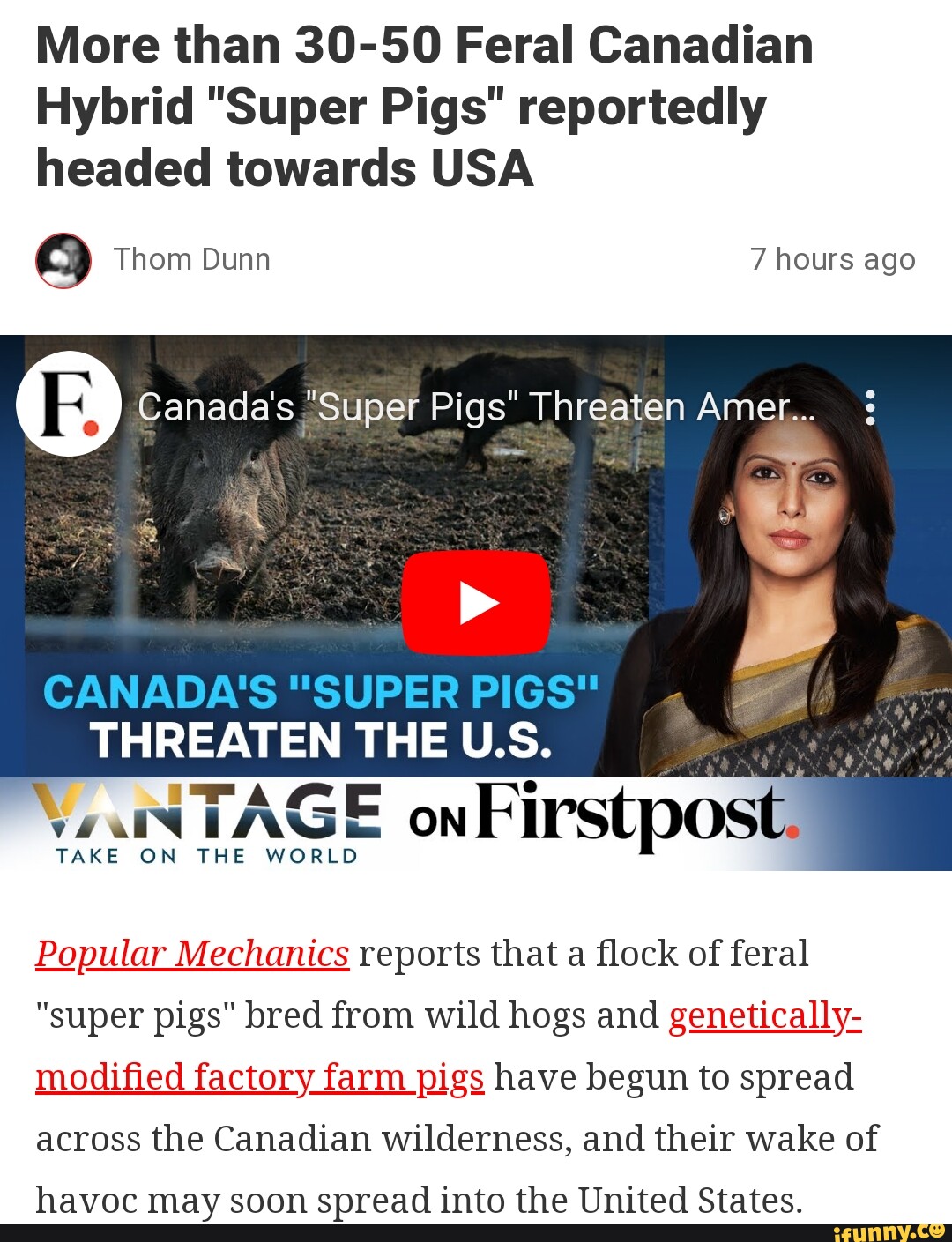 More than 30-50 Feral Canadian Hybrid "Super Pigs" reportedly headed ...