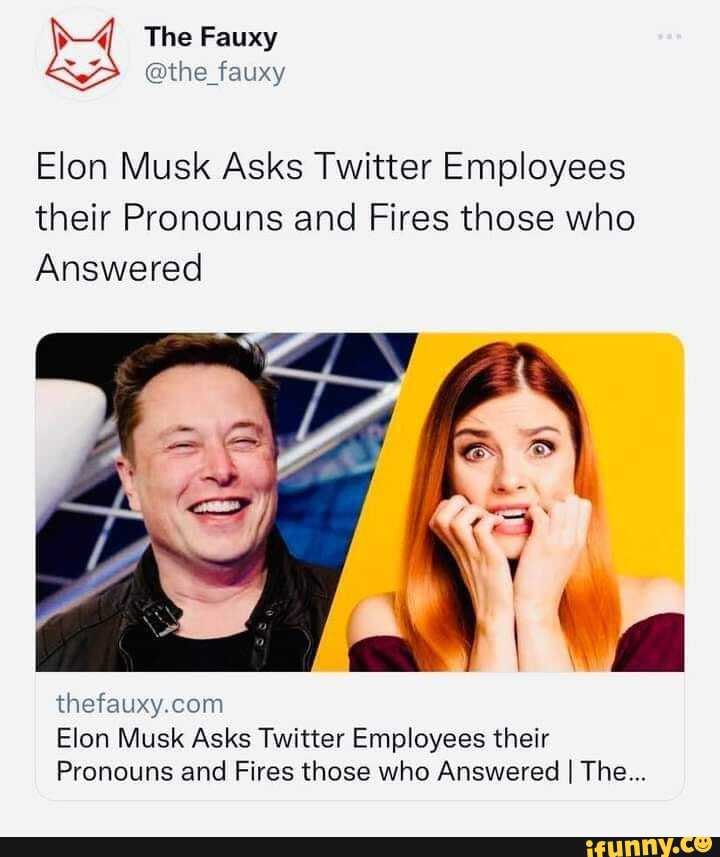 The @the fauxy Elon Musk Asks Twitter Employees their Pronouns and ...