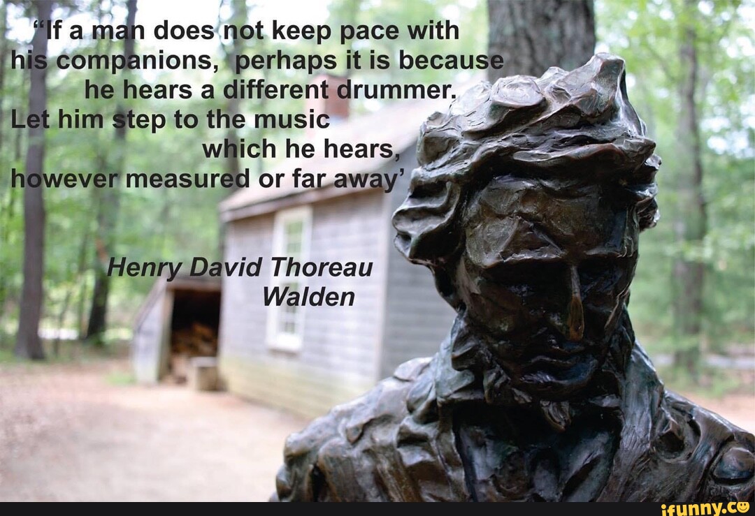 Walden Memes