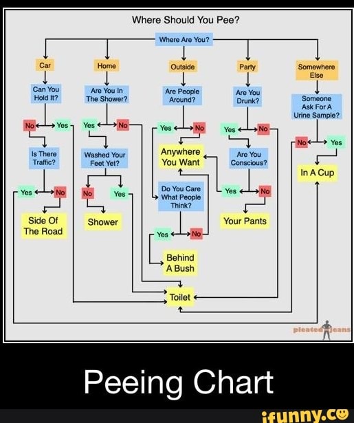 Peeing Chart - iFunny