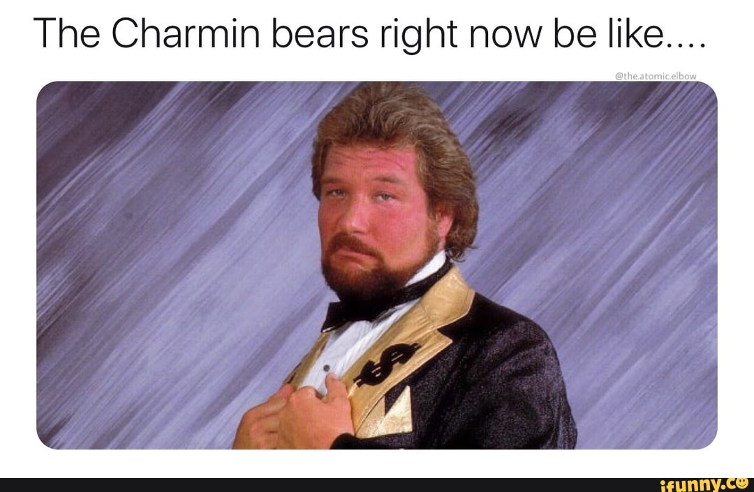 @the.atomic.elbow on IG meme dump - The Charmin bears right now be like ...