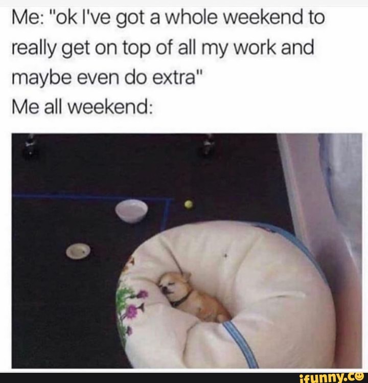 Me: "ok I've got a whole weekend to really get on top of all my work ...